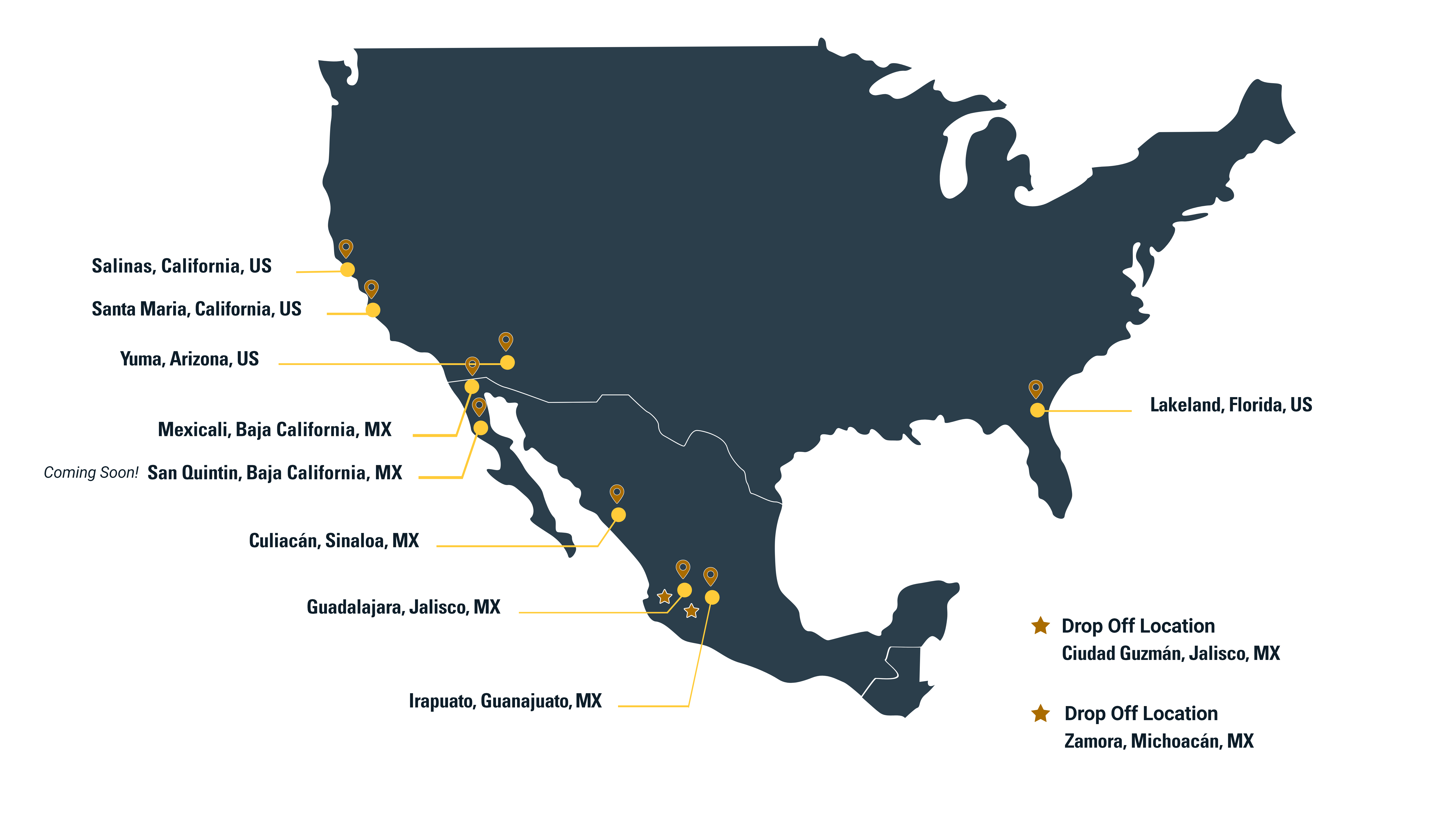 PrimusLabs Contact Me Spanish
